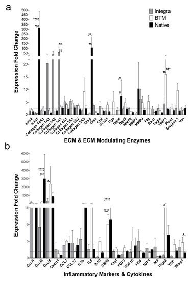 A Comparative Study Of Engineered Dermal Templates For Skin Wound Repair In A Mouse Model