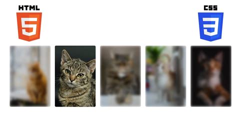 How To Create Image Gallery Using Only HTML CSS YouTube