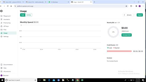 getting incorrect api key error in node js api openai developer