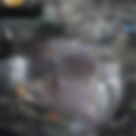 Interpreting Laboratory Findings In Anemia