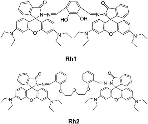 Chemical Structures Of Rh1 And Rh2 Download Scientific Diagram
