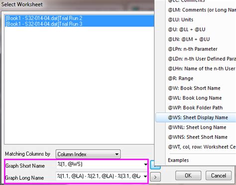 Set Graph Window Short And Long Name During Batch Plot And In Graph Template OriginLab Wiki