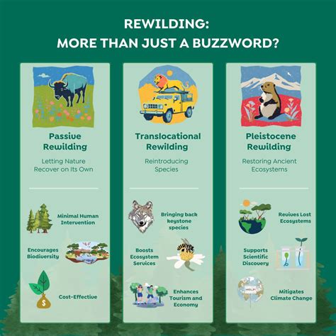 Rewilding Is Often Talked About But What Does It Actually Mean And
