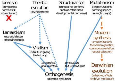 Structuralism Encyclopedia Mdpi