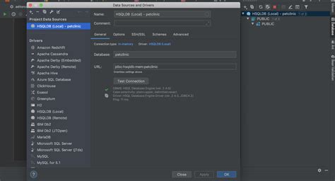 Spring Boot Connect To Existing Hsqldb Instance In IDE Stack Overflow