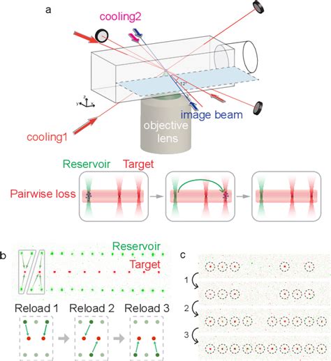 Figure 1 From Multi Reservoir Enhanced Loading Of Tweezer Atom Arrays Semantic Scholar