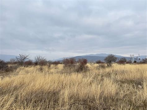 მიწის ნაკვეთები ყიდვა გაყიდვა სასწრაფოდ