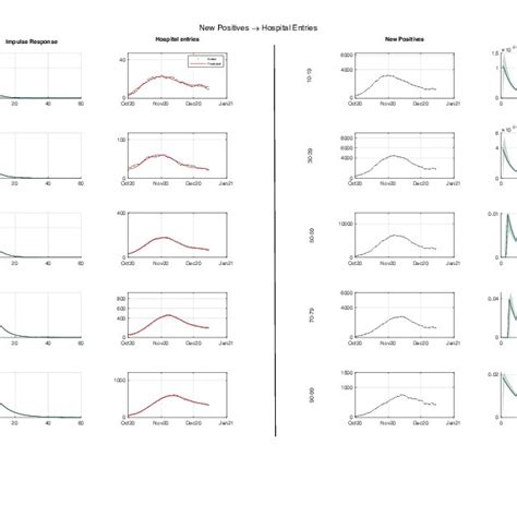 Identification Of Input Output Model Of Hospital Admissions In The Download Scientific Diagram