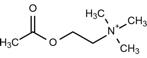 Chemical Structures Starting with the Letter A: Acetylcholine ...