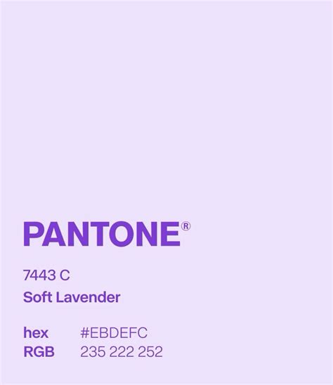 25 Best Lavender Color Palettes With Names And Hex Codes Artofit