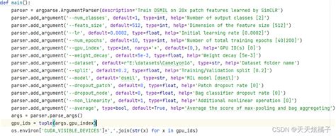 dsmil论文代码复现，dual stream multiple instance learning network for whole