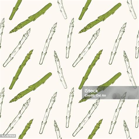 아스파라거스와 손으로 그린 벡터 그림이 있는 매끄러운 패턴 참새 풀로 배경을 반복합니다 인쇄 포장 종이 직물 라벨을 위한