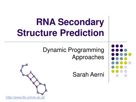 Ppt Rna Secondary Structure Prediction Powerpoint Presentation Free