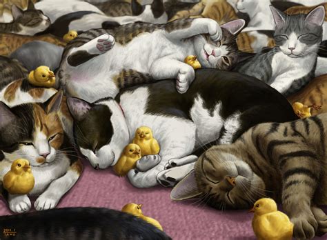 Too Many Cats Danbooru