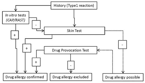 Flow Chart For The Evaluation Of Type 1 Hypersensitivity Drug Download Scientific Diagram