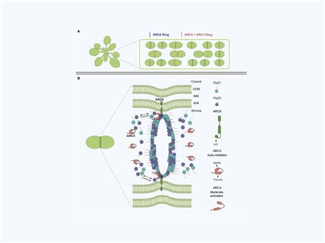 上海交通大学中文主页门户网站