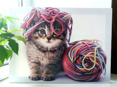Create Meme Cat And Ball Of Yarn Cat With A Ball The Cat Got Tangled