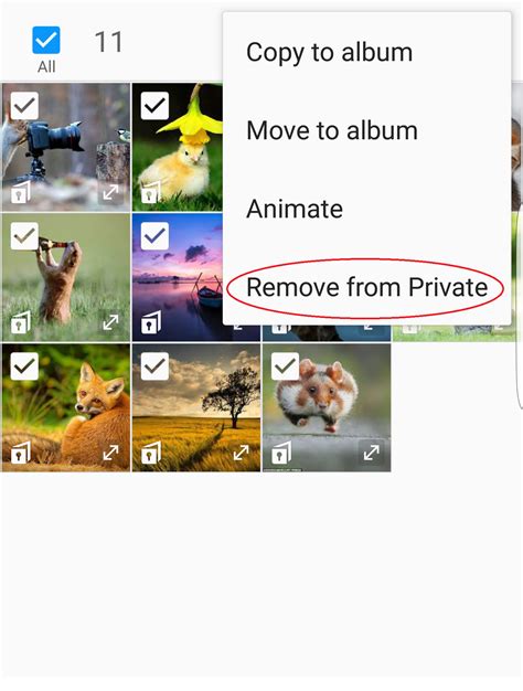 How To Use Private Mode On Samsung Devices Tactig