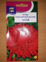 Астра королевский размер Алая - купить со скидкой | «Делаем покупки»