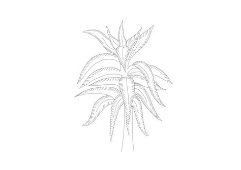 Free Plant Elevation Cad Block Dwg Dxf Pdf Format Freecads