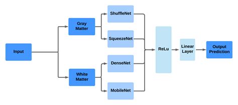 Parkinsons Disease Detection Using Ensemble Architecture From Mr