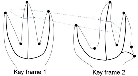 correspondences between skeleton paths are obtained from contour point