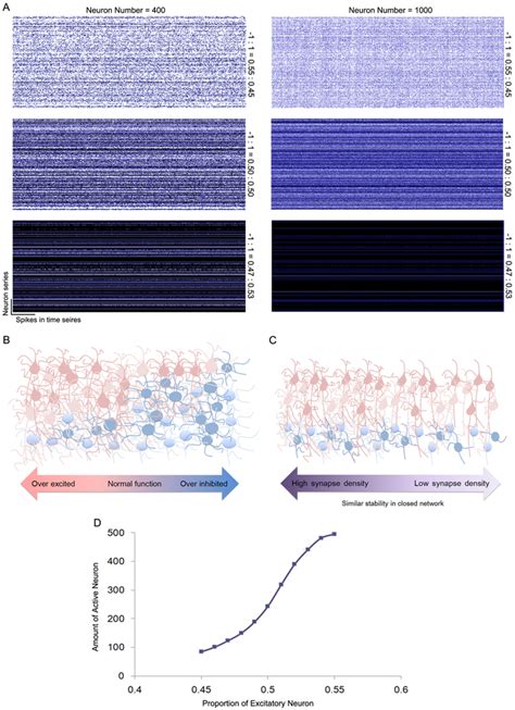 Dependence Of The Activity Of Neurobionic Assembly On The Neuron Amount Download Scientific