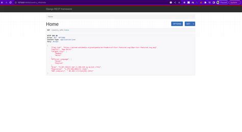 Github Rishikr3101solarlabassignment Endpoint For Country Details