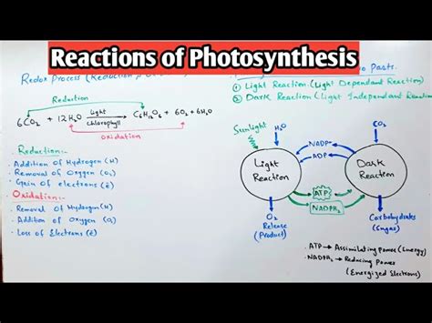 Redox Reaction Photosynthesis