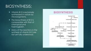 Industrial Microbiology Biosynthesis Of Vitamin B2and Vitamin B12 Pptx