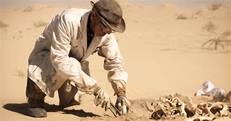 Discovering Australopithecus Key Fossil Finds And Their Significance