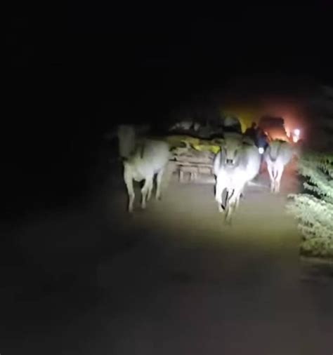 ဝက်လက်မှာ စစ်ကြောင်းထိုးတိုက်ပွဲဖြစ်နေလို့ ဒေသခံ ၅၀၀၀ ကျော် တိမ်းရှောင်နေရ