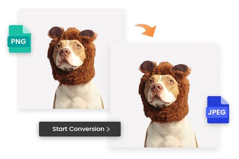 Free Png To Jpeg Converter Convert Png To Jpeg Online Fotor