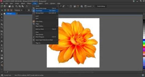 Removing Backgrounds From Images In CorelDRAW And PHOTO PAINT Corel Discovery Center