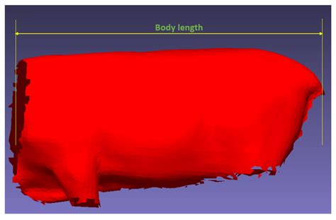 A Korean Cattle Weight Prediction Approach Using D Segmentation Based Feature Extraction And