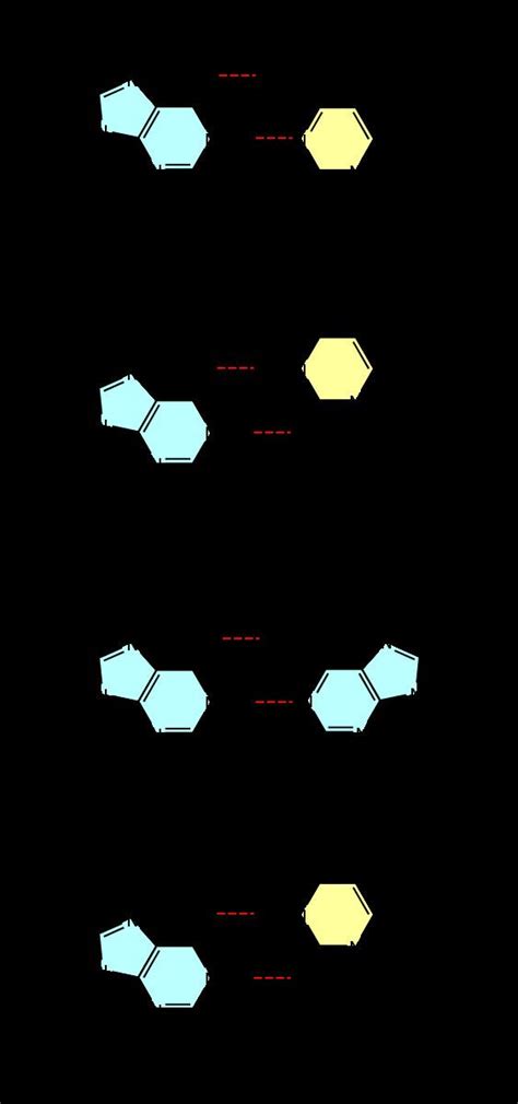 Wobble Base Pair Alchetron The Free Social Encyclopedia