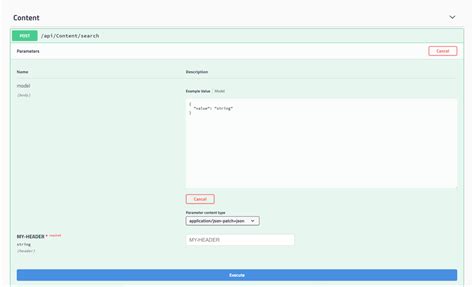 Adding A Required Header To Your Swagger Ui With Swashbuckle