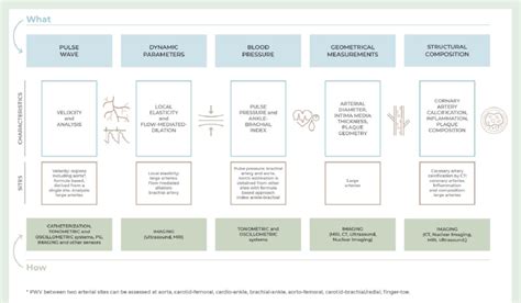 How To Measure Vascular Age The Vascular Ageing Process Can Impact Download Scientific Diagram