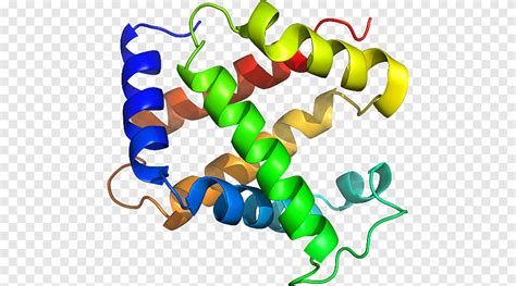 유기체 라인 면역 조직 화학 라인 예술 삽화 Png Pngegg