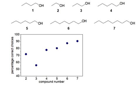 Psychophysics Experiments Such As The One Described