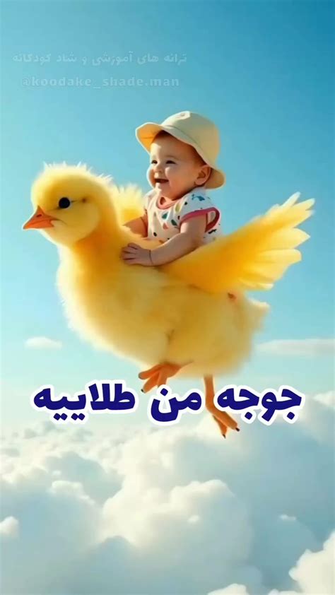 کلیپ شعر کودکانه جوجه من طلاییه رنگ پراش حناییه