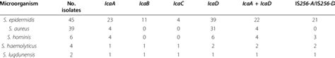 Genes And Bacterial Insertion Element Is256 In Staphylococcus Spp Download Scientific Diagram