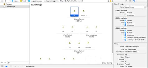 Ios Launchimage In Imagesxcassets With Launchscreenxib Stack Overflow