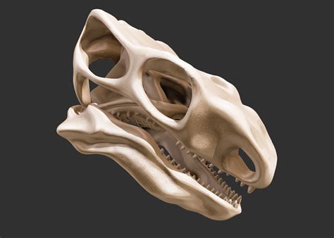 💀 Dimetrodon Skull・ Stl File For 3d Printing And Cnc Machining Laser