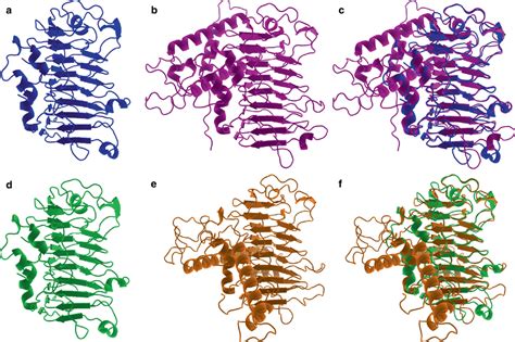Homology Modeling Results From P Armeniaca Isoforms With Conventional Download Scientific