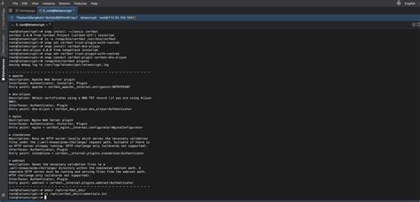 setup let s encrypt ssl certificate auto renewal on alibaba cloud