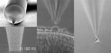 typical microelectrode suited for patch clamping left panel courtesy
