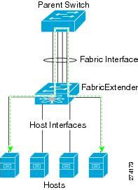 Cisco Nexus Series Fabric Extender Software Configuration Guide For Cisco Nexus Series
