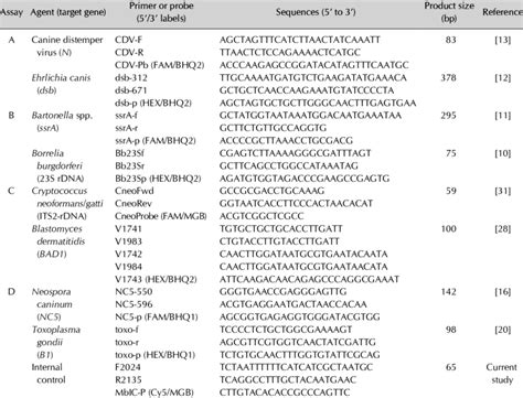 Primer And Probe Sequences Used For Multiplex Quantitative Real Time Download Table