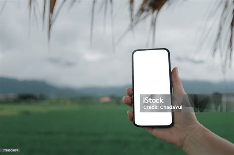 빈 흰색 화면이 있는 전화기를 들고 있는 사람 스마트폰 화면에 광고 매체 배치 디자인 복사 공간 Brand Name Smart Phone에 대한 스톡 사진 및 기타 이미지